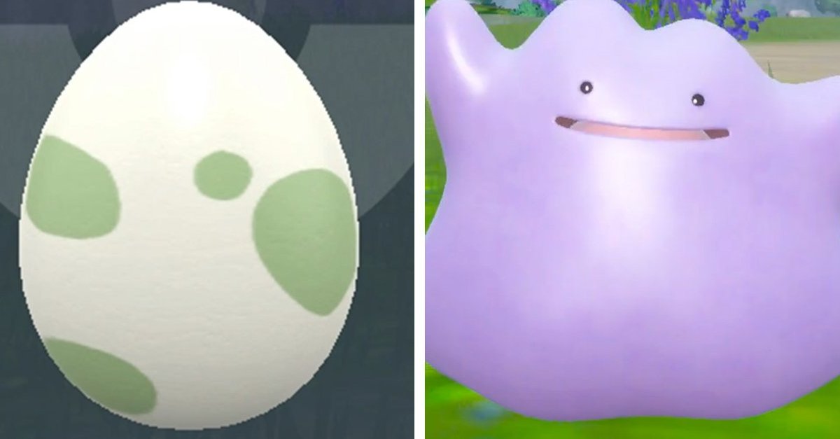 Eier bekommen & Ditto fangen in Pokémon Karmesin
