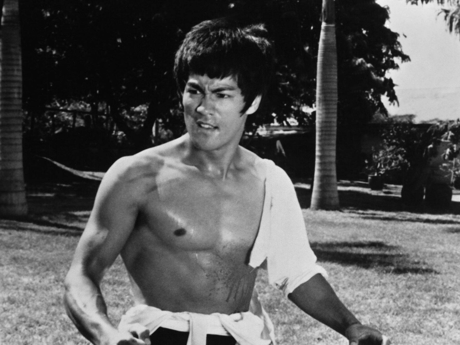 Bruce Lee Wikipedia | atelier-yuwa.ciao.jp