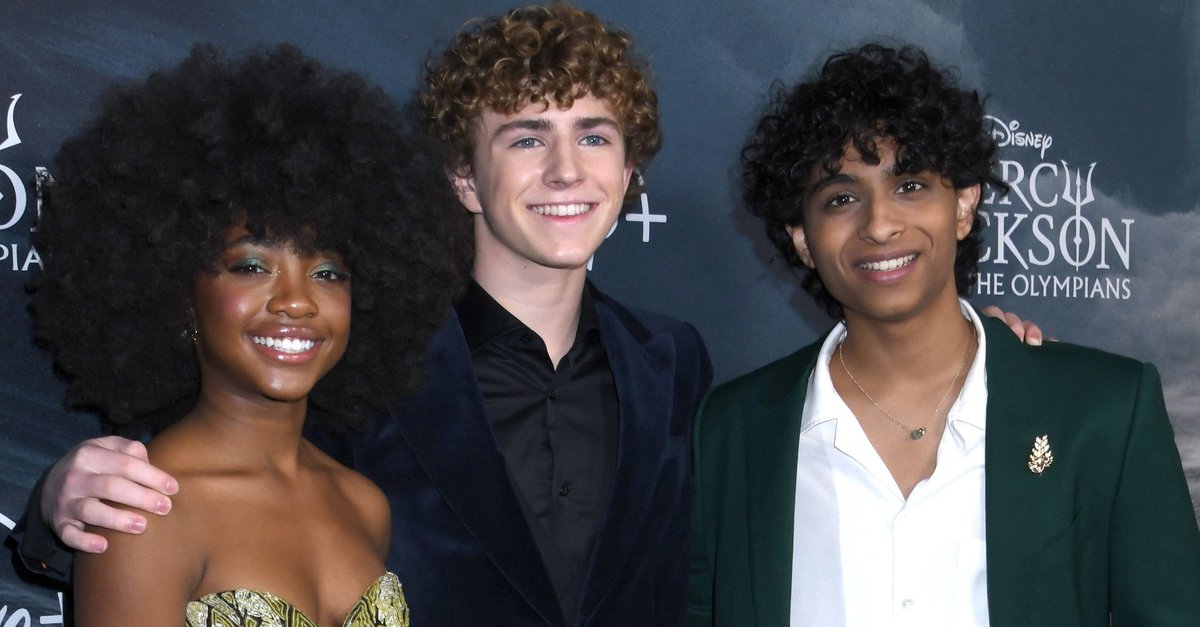 Beloved celebrity expresses interest in portraying Link in the upcoming ...