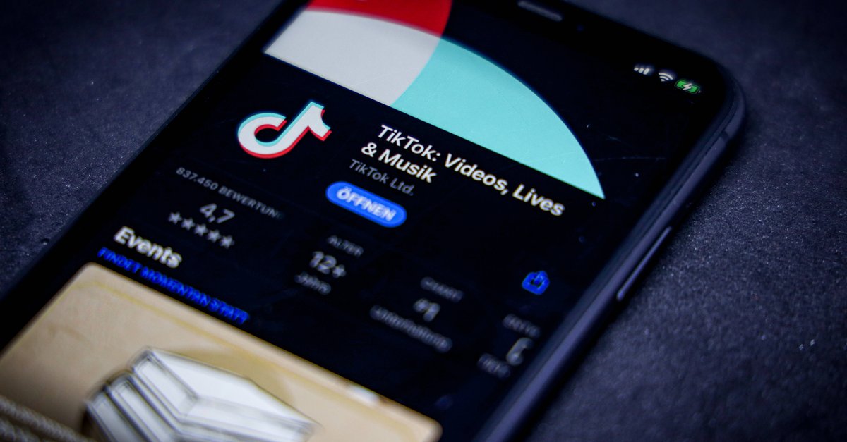 TikTok KI-Chatbot: So funktioniert Tako