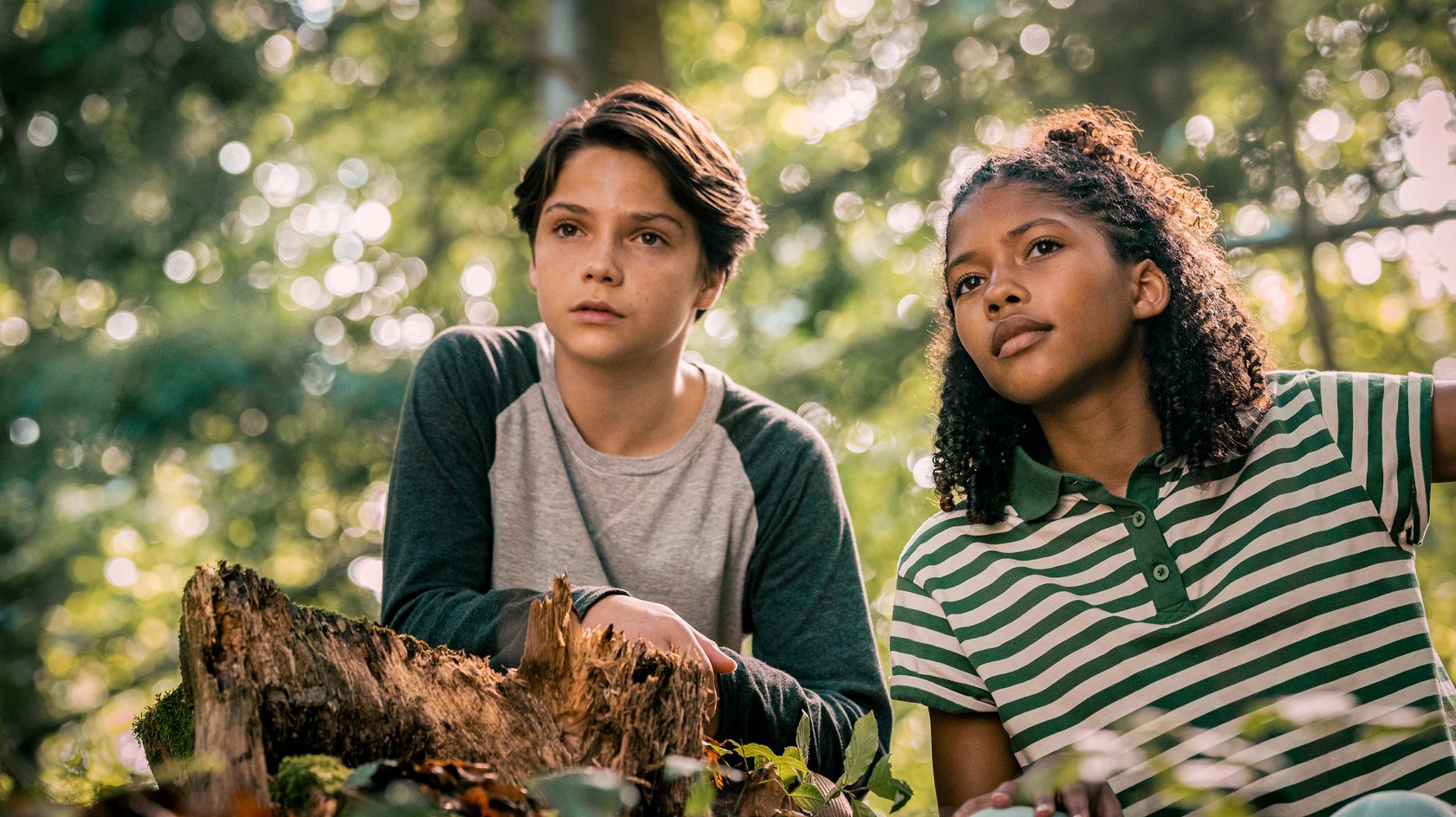 „Woodwalkers“-Filme erhalten neue Kinostarts: Erster Trailer liefert ...