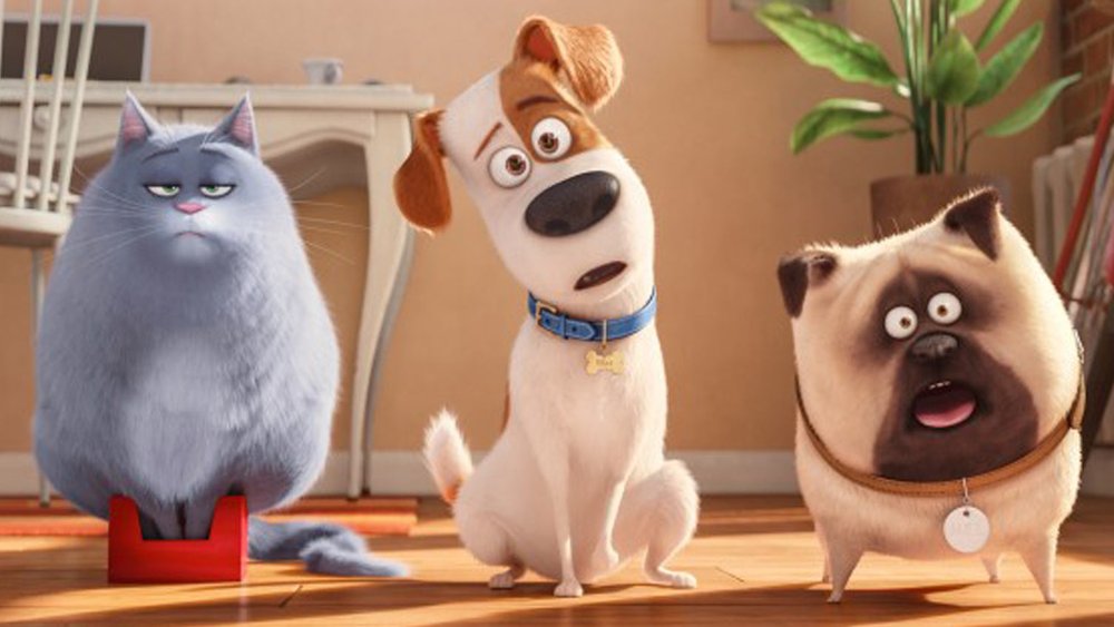 „Pets 3": Wird es eine Fortsetzung geben? · KINO.de