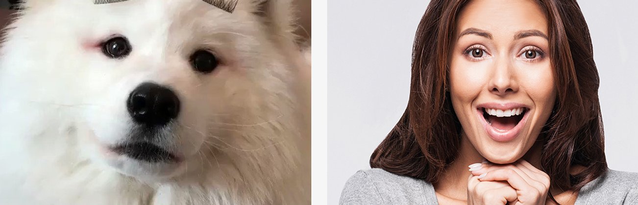 Was heißt „mlem“ & „blep“? Bedeutung der Meme-Begriffe